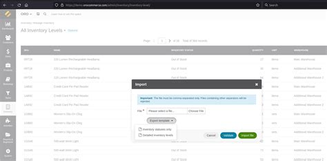 Inventory Level Importing Export Detailed Template 500 Internal Server Error · Issue 143