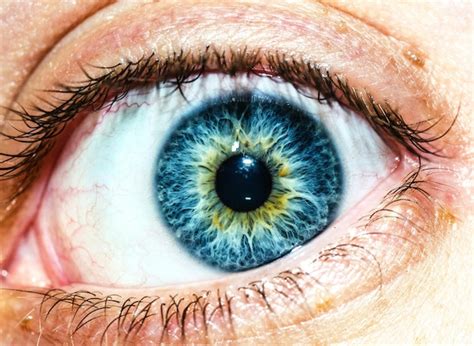 Premium Photo Close Up Of Blue Human Eye