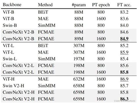 convnets fcmae csdn博客