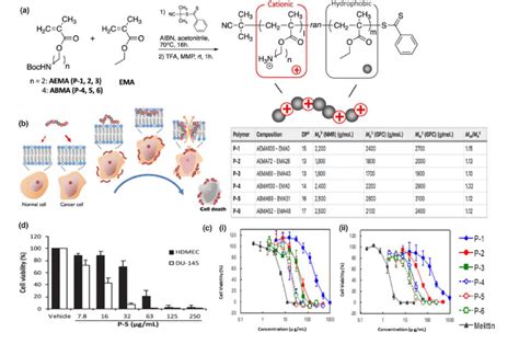 Anticancer Cationic Polymers A Scheme For The Synthesis Of Different