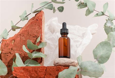 빨간 돌에 드롭퍼 세럼과 구겨진 종이와 베이지 색 배경으로 갈색 유리 병을 모으세요 잔인 공간을 복사합니다 산 성 박리 페이스 오일 콜라겐 0명에 대한 스톡 사진 및 기타