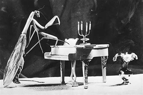 Sex Can Lead To Death Says Study