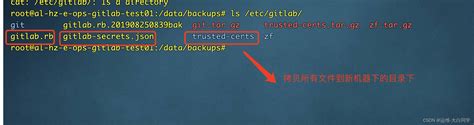 gitlab备份 迁移 升级方案 升级到 版本最佳实践