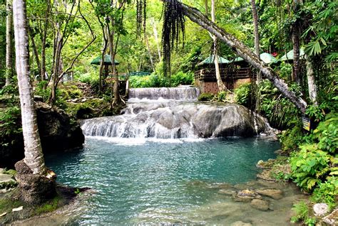 Mga Lakwacherang Doktora The Davao Experience Monfort Bat Cave And