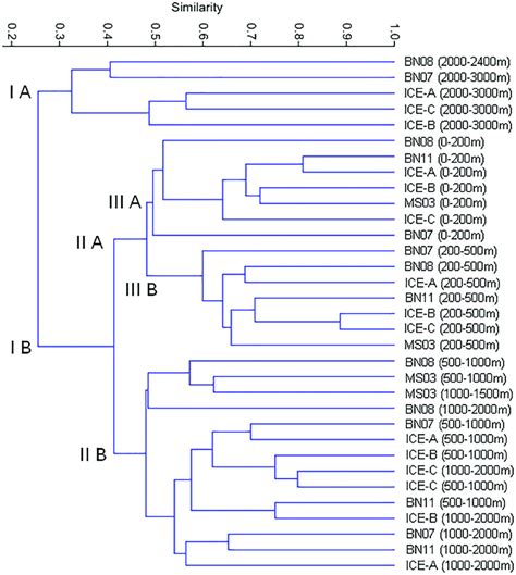 clustering dendrogram of different samples by using bray curtis