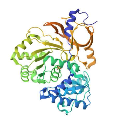Rcsb Pdb 7xbv Crystal Structure Of The Adenylation Domain Of Cmng In