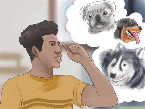 How To Train A Possessive Aggressive Dog