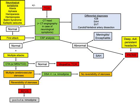 This Flowchart Shows The Diagnostic Workflow From Thunderclap Headache Download Scientific