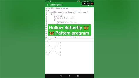 Hollow Butterfly Pattern Program Java Program Java Programming