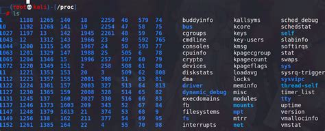 linux系统之proc目录解析 atmujie it技术学习笔记