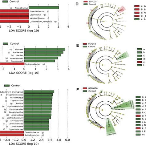 Linear Discriminant Analysis Lda Scores On Different Taxonomical Download Scientific Diagram