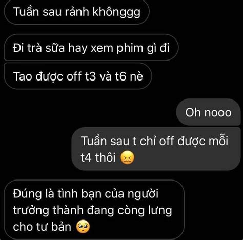 Word Excel Powerpoint