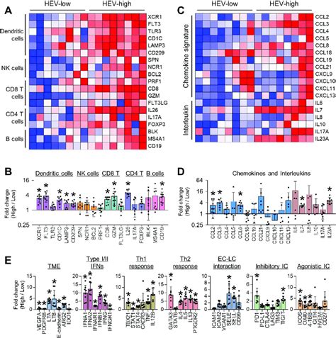 Immune Related Gene Expression Profile Explained The Anti Tumor