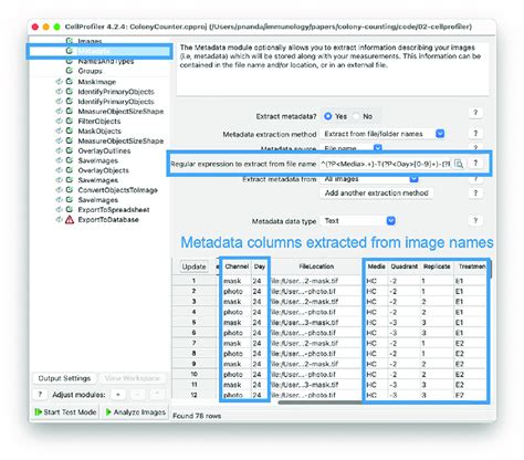 Metadata Extracted From Image Name Click The Update Button To
