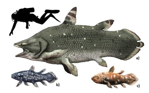 The Lost Coelacanth Jurassic