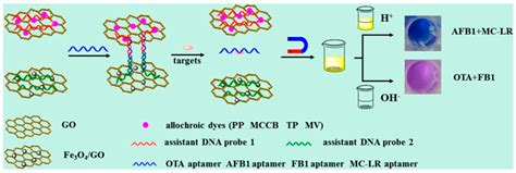 Recent Development Of Aptamer Sensors For The Quantification Of Aflatoxin B1