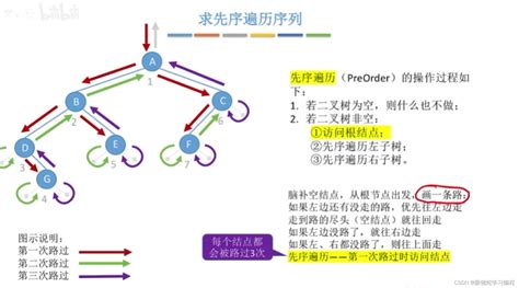 数据结构 二叉树的遍历 Csdn博客