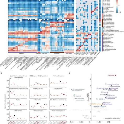 Sequence Classes Predict Cell Type Specific Regulatory Activities And Download Scientific