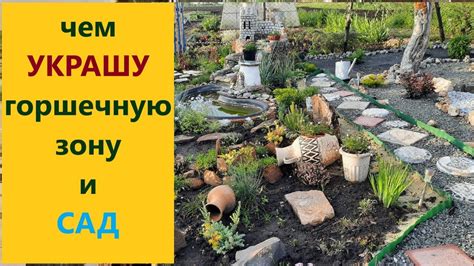 Травянистые растения из семян. Чем украшу горшечную зону и сад. - YouTube