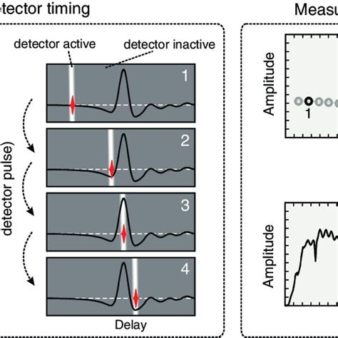 Scheme Of The Sampling Principle Of Time Domain Spectroscopy By Download Scientific Diagram