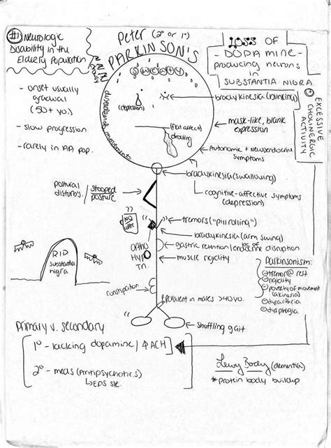 A Hand Drawn Diagram With Many Things On It