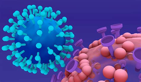 New Sars Cov Ace2 Inhibitor Assays And Small Molecules For Drug Discovery Tebubio