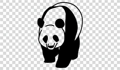 وکتور پاندا Vector Panda دانلود تصویر دوربری شده