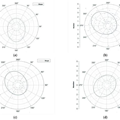 Root Sprout Distribution Elevation And Algorithm Run Processing