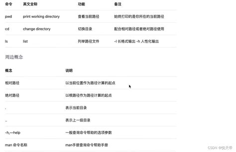 Linux基本命令 Csdn博客