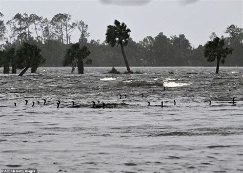 Florida Men Paddle Inflatable Duck Through Huge Idalia Storm Surge
