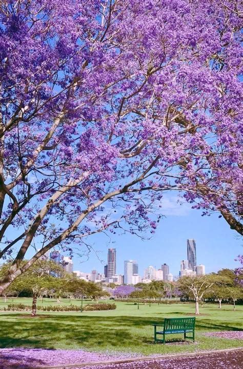 The Best Landscape Architecture Projects Концепт схемы Ландшафт Архитектурные чертежи