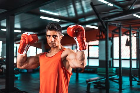 탱크 탑에 빨간 권투 장갑을 끼고 두 주먹을 들고 피트니스 체육관에서 진지한 얼굴로 부딪치는 펀칭 백 앞에 서있는 중년의 근육질의 남자 건강한 생활방식에 대한 스톡 사진 및