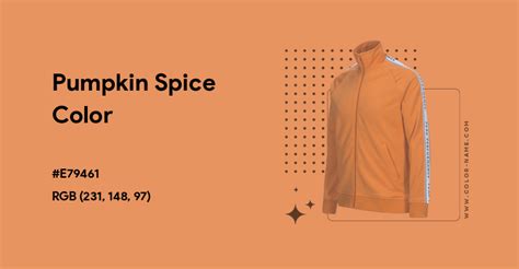 Pumpkin Spice Color Hex Code Is E79461