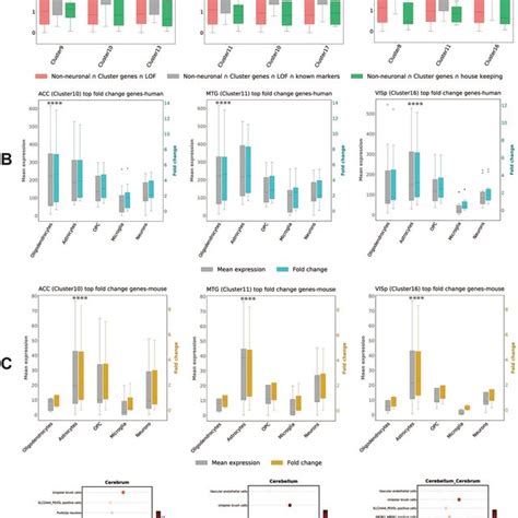 Replication Of Association Between Cluster Genes And Cell Type In Other Download Scientific