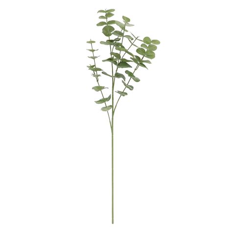 Green Gunni Eucalyptus Stem By Ashland® Michaels