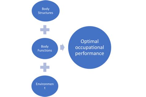 group dynamics week 11 sensorimotor approaches flashcards quizlet