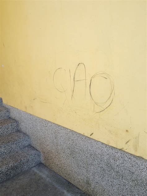 Dibattito Morsanese Pompini Con Ingoio Trovata La Soluzione Per La Pulizia Del Parco