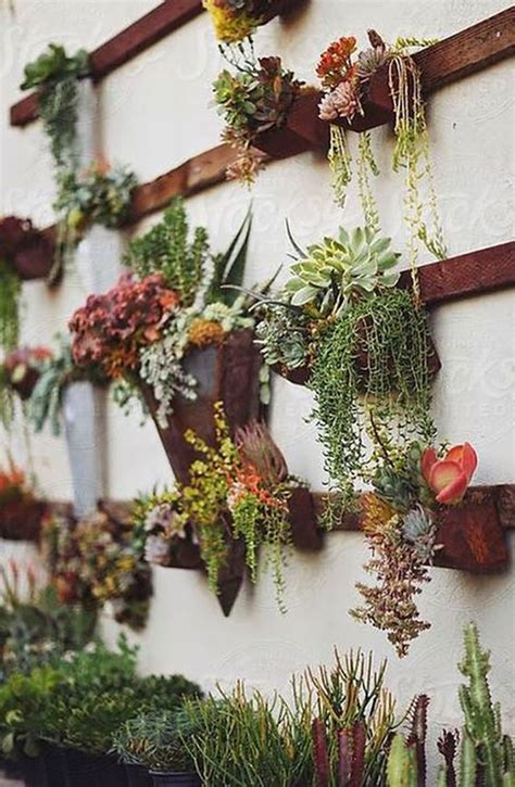 Succulent Wall Planter Ideas