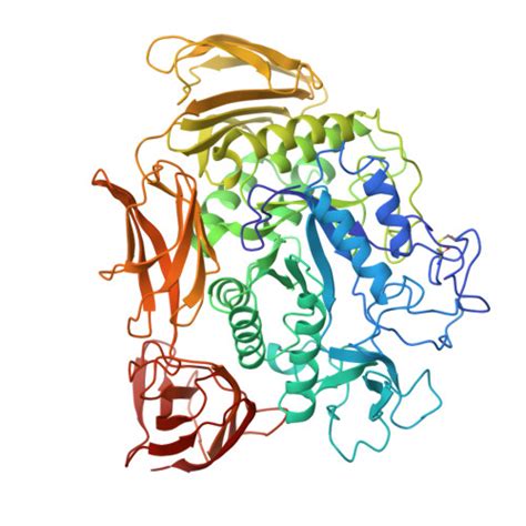 Rcsb Pdb 1cyg Cyclodextrin Glucanotransferase E C 2 4 1 19 Cgtase