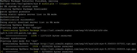 Troubleshooting Sophos UTM Up2Date Failure Due To Disk Space