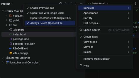 How To Move From VS Code To WebStorm WebStorm Documentation