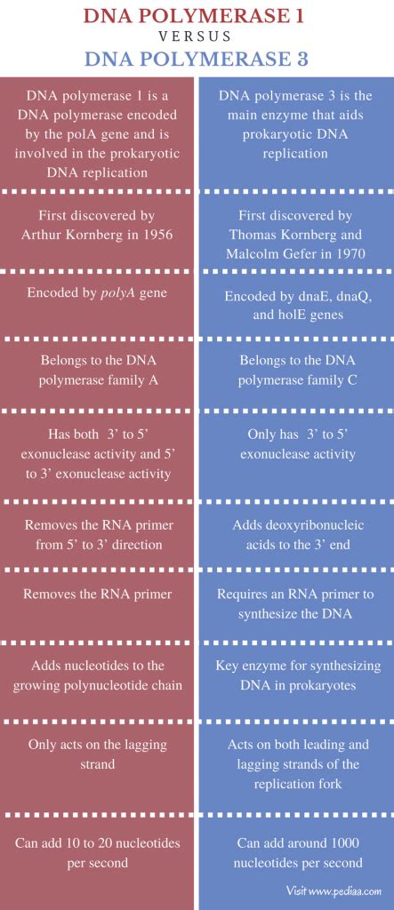 Difference Between Dna Polymerase 1 And 3 Definition Structure Function Comparison