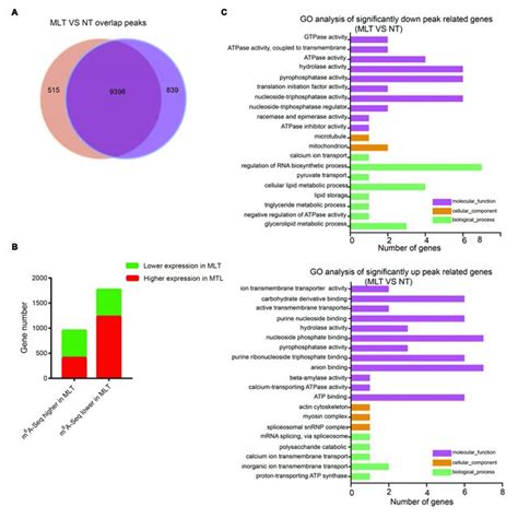 Comparative Analysis Transcriptome Wide M 6 A Profiles Between Nt And