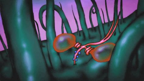 Animation Mosquito Gif By Nice Try Collective Find Share On Giphy