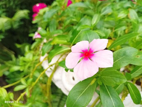 Review Redmi G G Droidsans