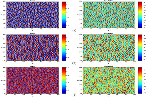 Snapshots Of Turing Patterns For Prey U And Predator V At Time