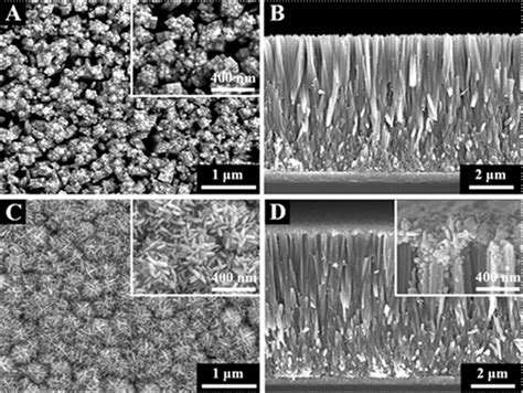 A Top View SEM And B Cross Sectional SEM Images Of TiO Nanorods Download Scientific