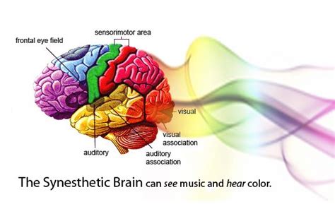 Synesthesia Hearing Music What Is The Color Detroit Chinatown
