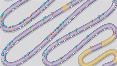 Scientists Create First Designer Chromosome