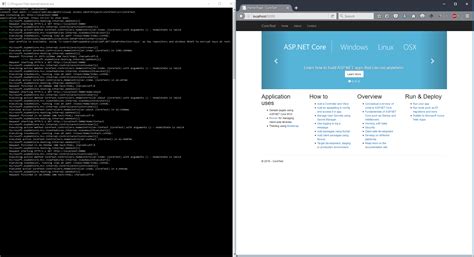 C Можно ли в приложении Asp Net Mvc вывести консоль Stack Overflow на русском